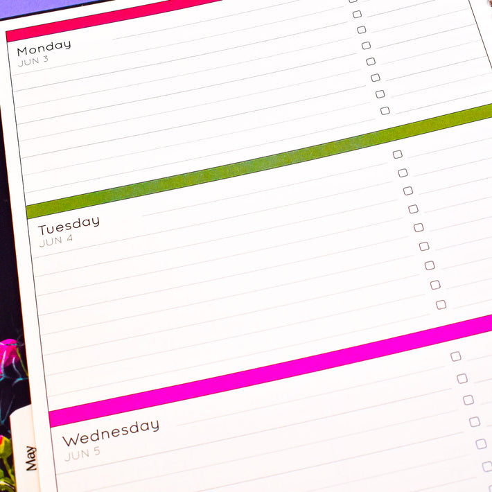 Personalized Daily & Weekly Planners, Stationery - Colibri Paper Co